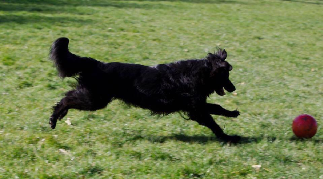 TRANSPIRE | Transgender social and support network for Southend-on-Sea ...